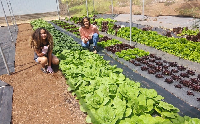 Pualei Farm Wins Agriculture Grant with USFCR’s Support